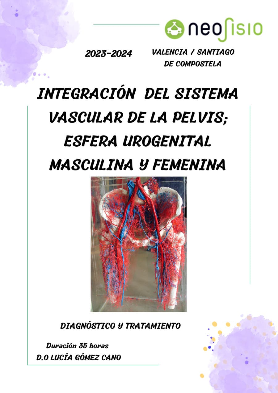 Integración del sistema vascular de la pelvis